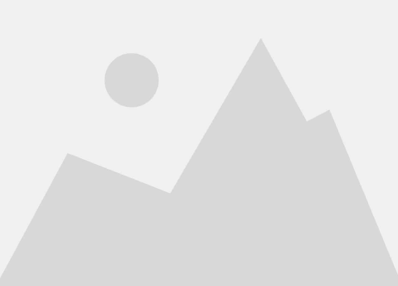 Cuáles son los 4 elementos esenciales que necesitan las plantas para vivir