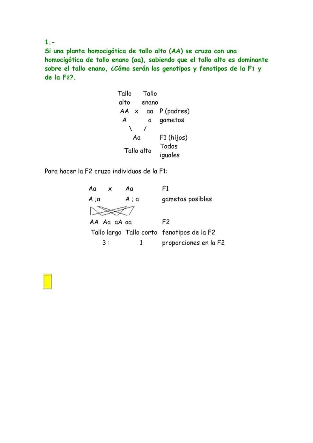 Cómo afecta la homocigosis en plantas de tallo alto