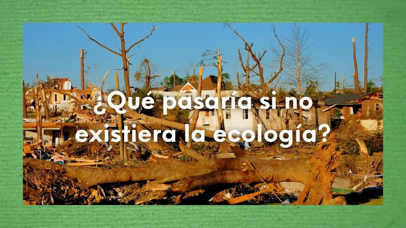 Cómo sería el mundo sin plantas y qué impacto tendría