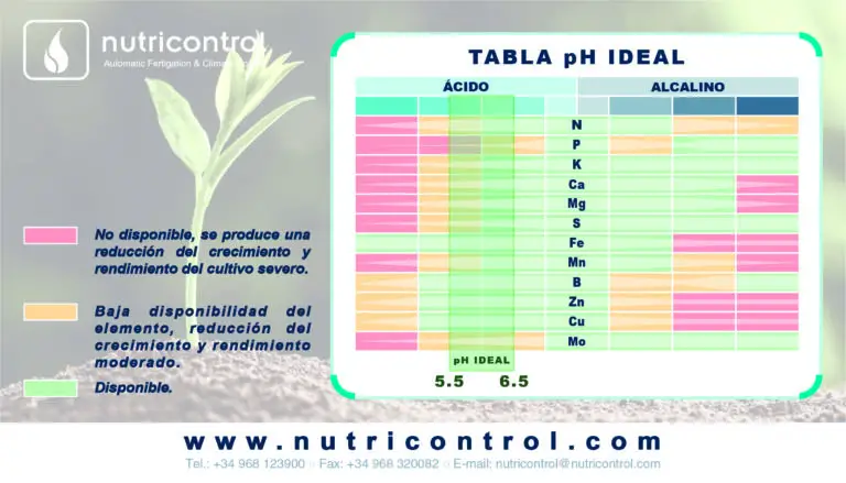Cuál es el pH ideal para cada planta y su crecimiento