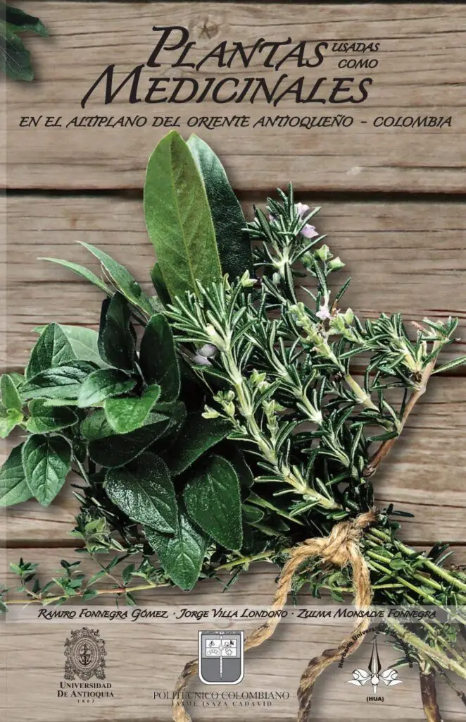 Qué propiedades tiene la planta linácea en textiles