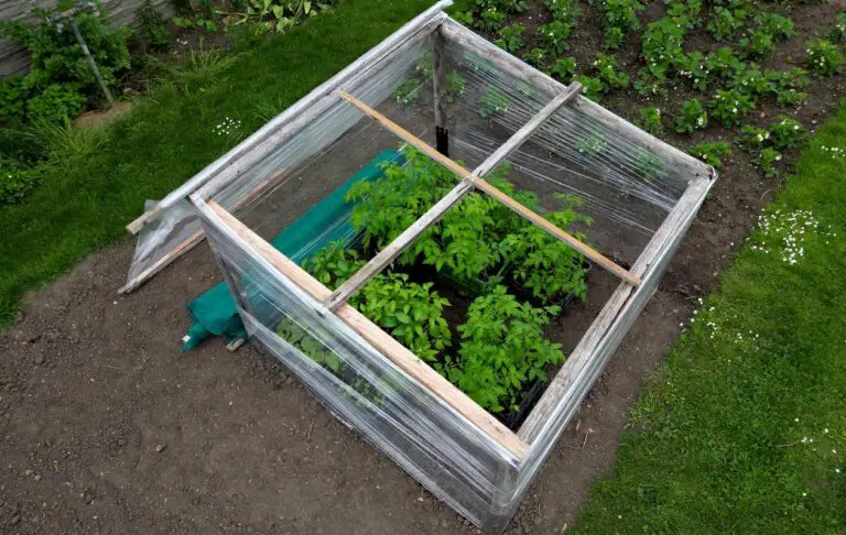 Aprende a construir un germinador casero eficaz para tus cultivos