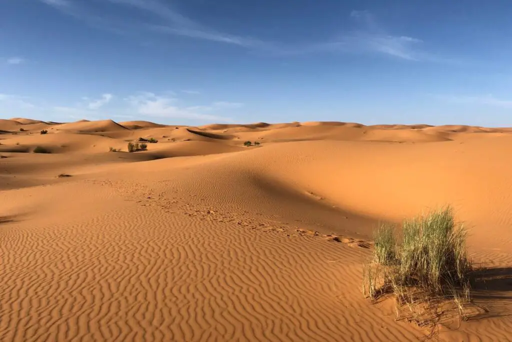 Comprendiendo el clima del desierto y sus características fundamentales