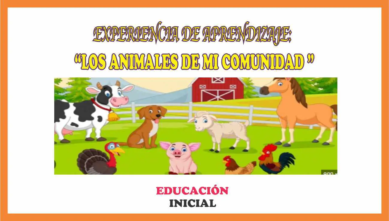 Conociendo la Diversidad de Animales en Mi Comunidad y su Importancia