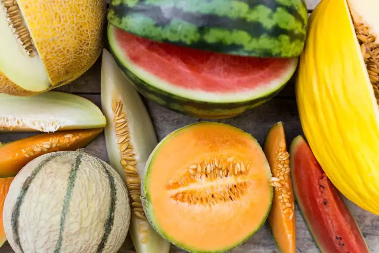 Conozca los diversos tipos de melones y sus características