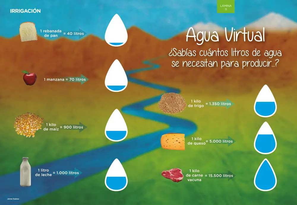 El Agua Virtual y sus Ejemplos en la Agricultura y Consumo