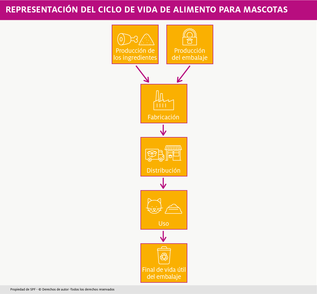 El Diagrama del Ciclo de Vida del Perro y sus Fases Esenciales