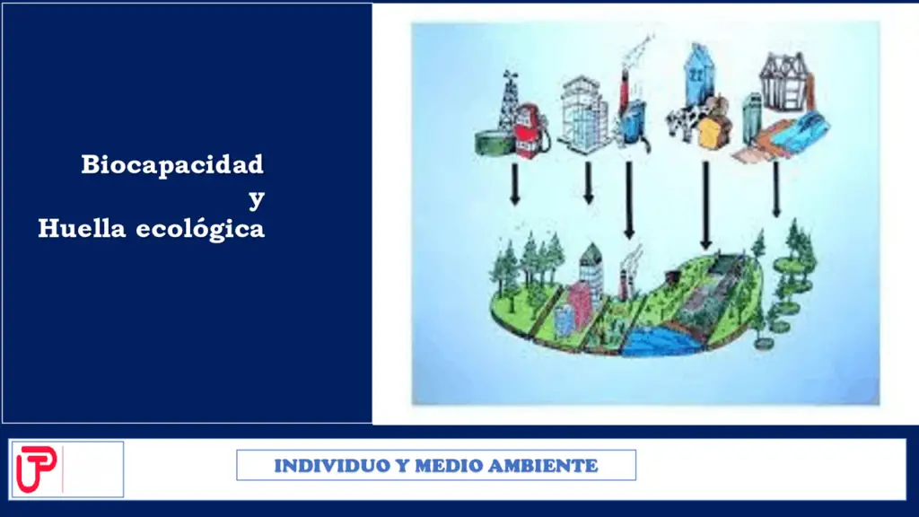 Entendiendo qué es la biocapacidad y su relevancia en el mundo actual