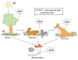 Explorando el concepto de microecosistema y su importancia en el medio ...