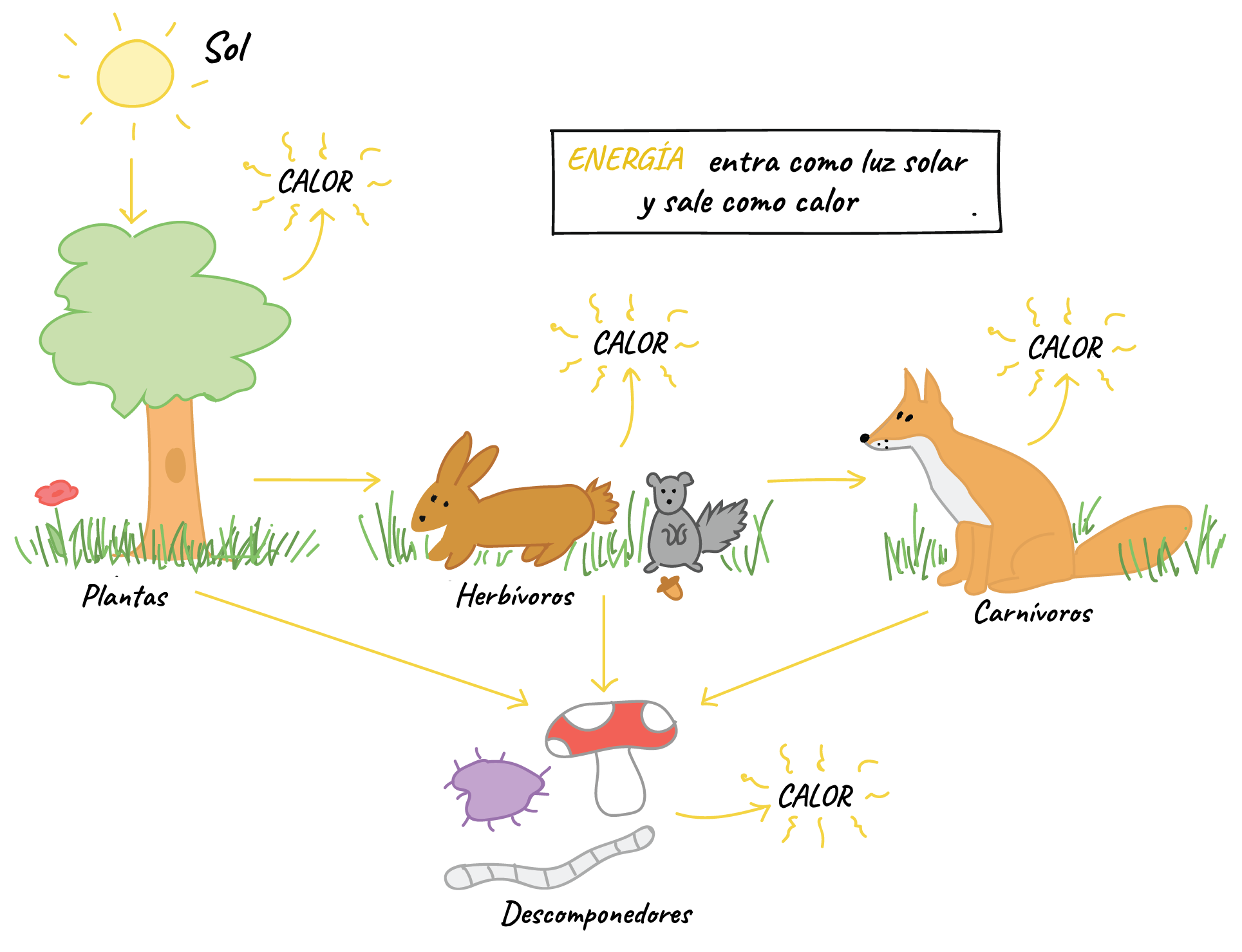 Explorando el concepto de microecosistema y su importancia en el medio ...