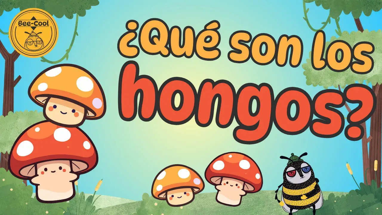 Explorando el Fascinante Mundo de los Hongos Comestibles y sus Beneficios