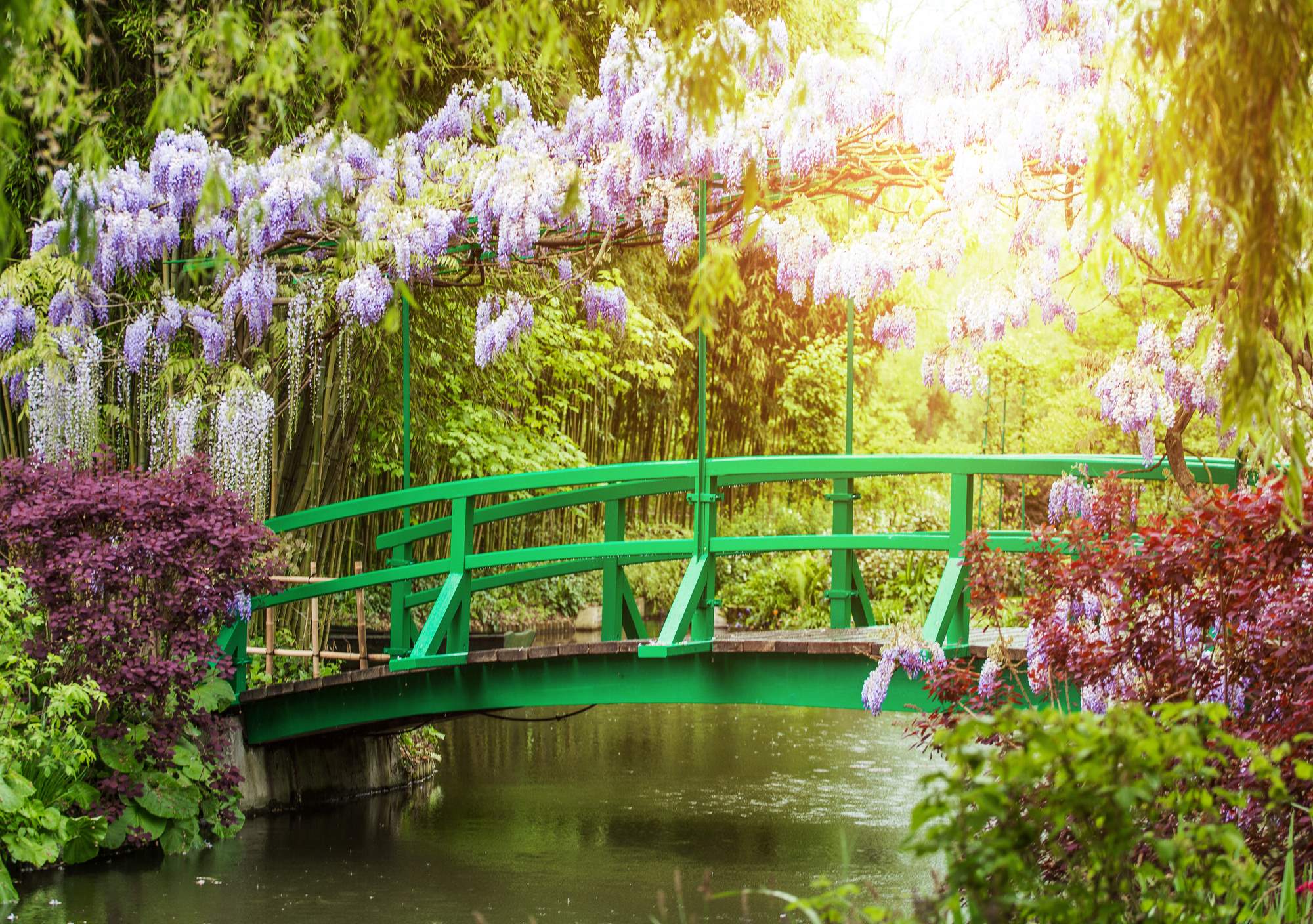 Explorando el Jardín Infinito como un Espacio de Conexión y Belleza Sin Fin