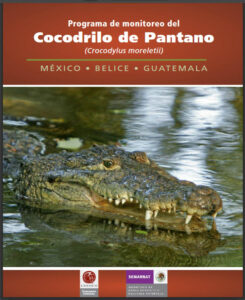 La Comparativa Integral entre el Caimán y el Cocodrilo para Comprender ...