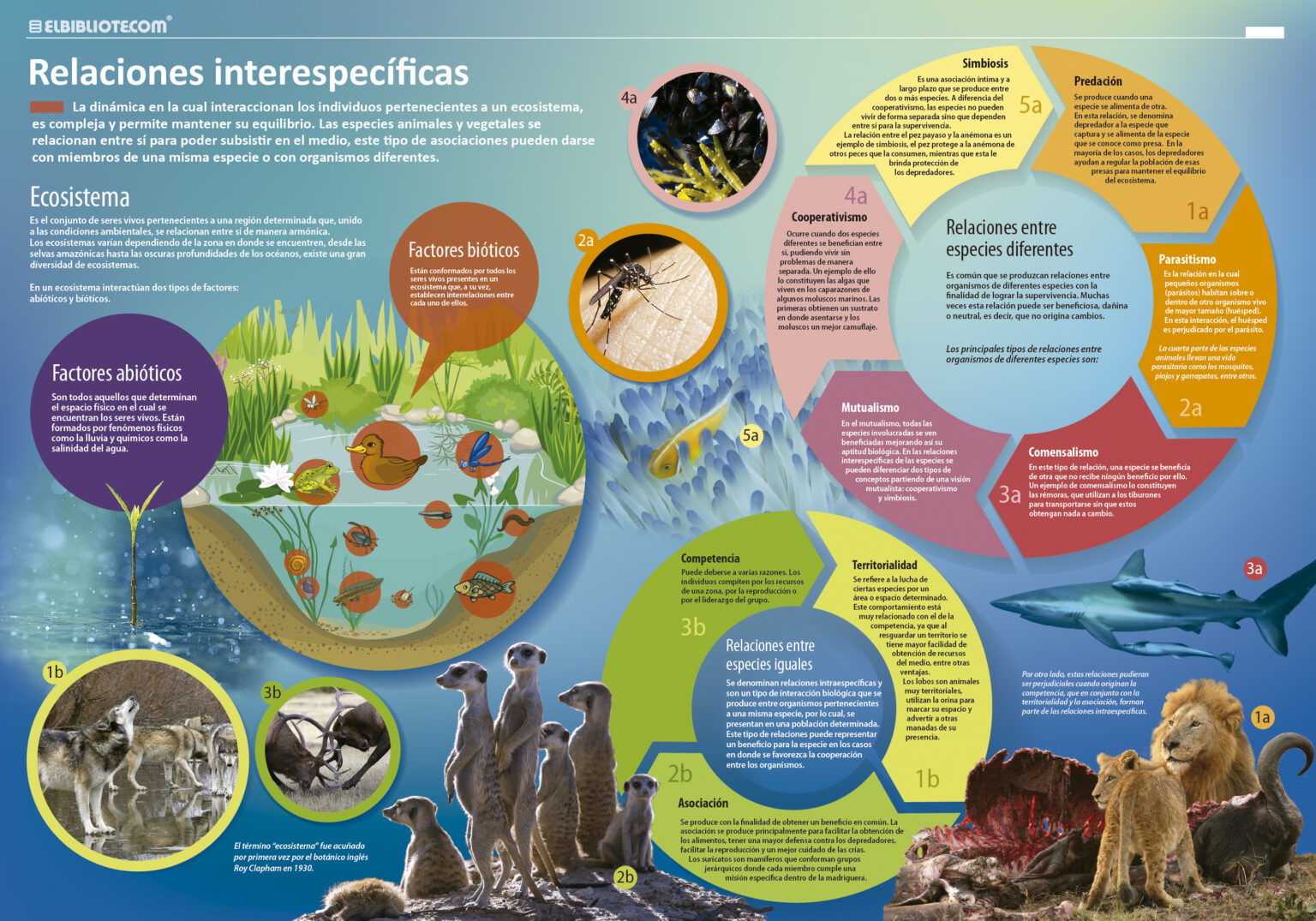 La competencia interespecífica y su impacto en los ecosistemas