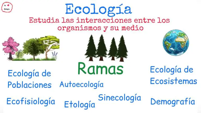 La ecología como ciencia que estudia las interacciones entre organismos ...