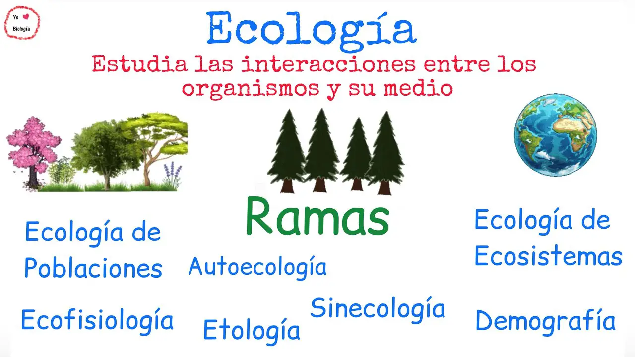 La ecología como ciencia que estudia las interacciones entre organismos ...