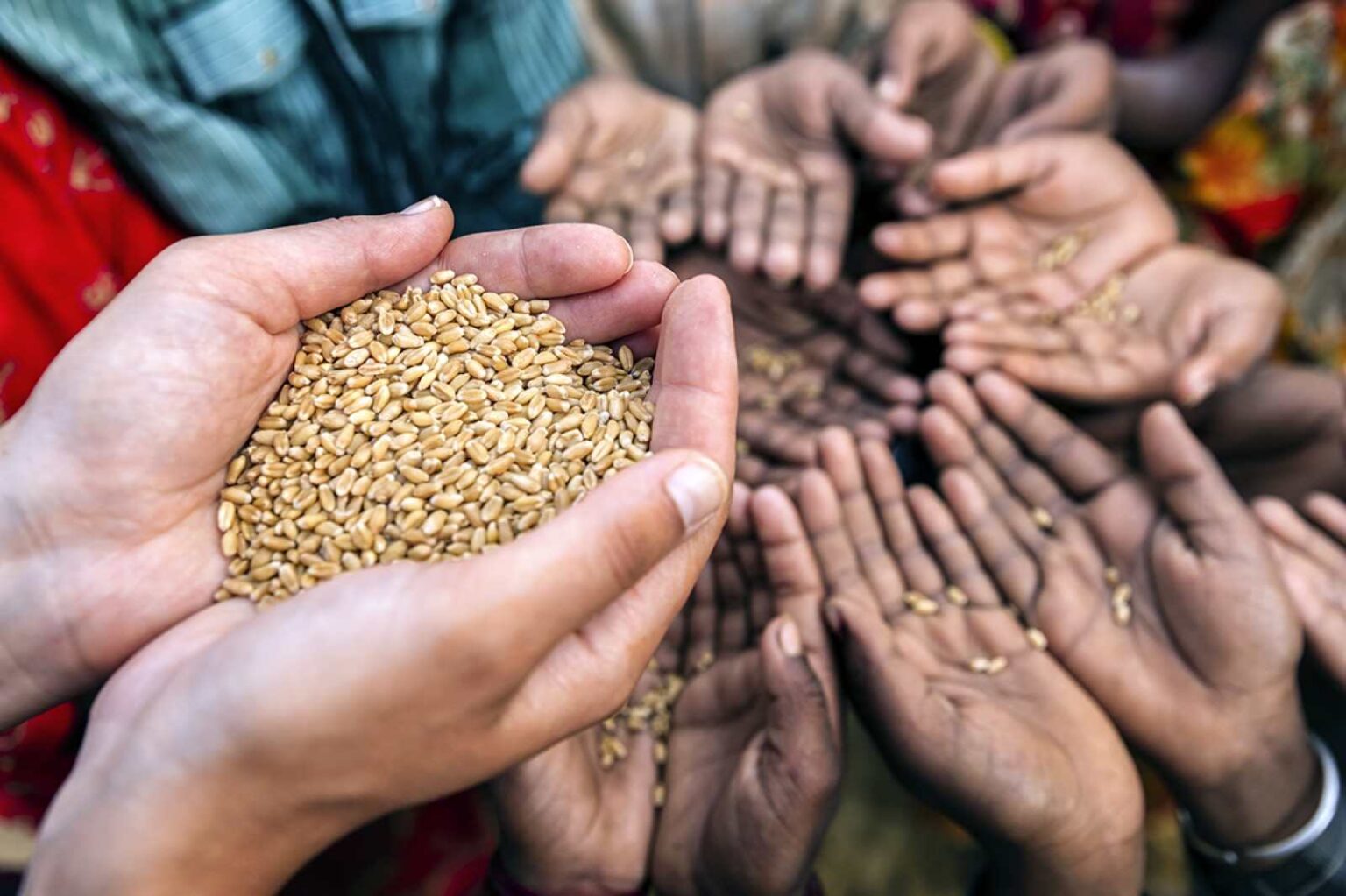 La Escasez de Alimentos y sus Consecuencias Globales en el Siglo XXI