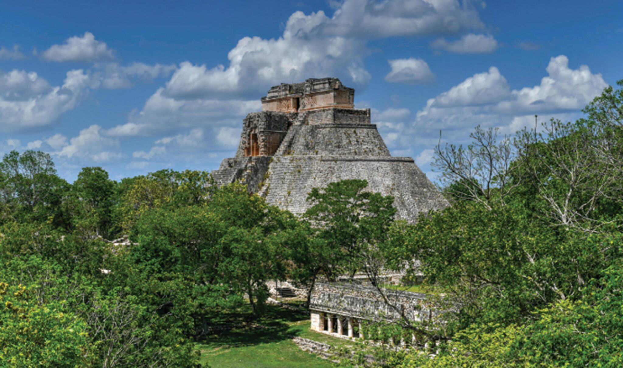 La Selva Maya es un Ecosistema Vital que Debe Ser Preservado en su ...