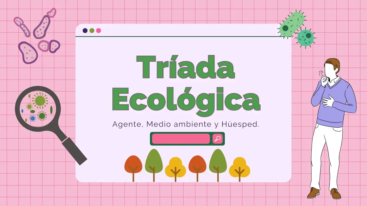 La tríada ecológica y su importancia en la sostenibilidad ambiental