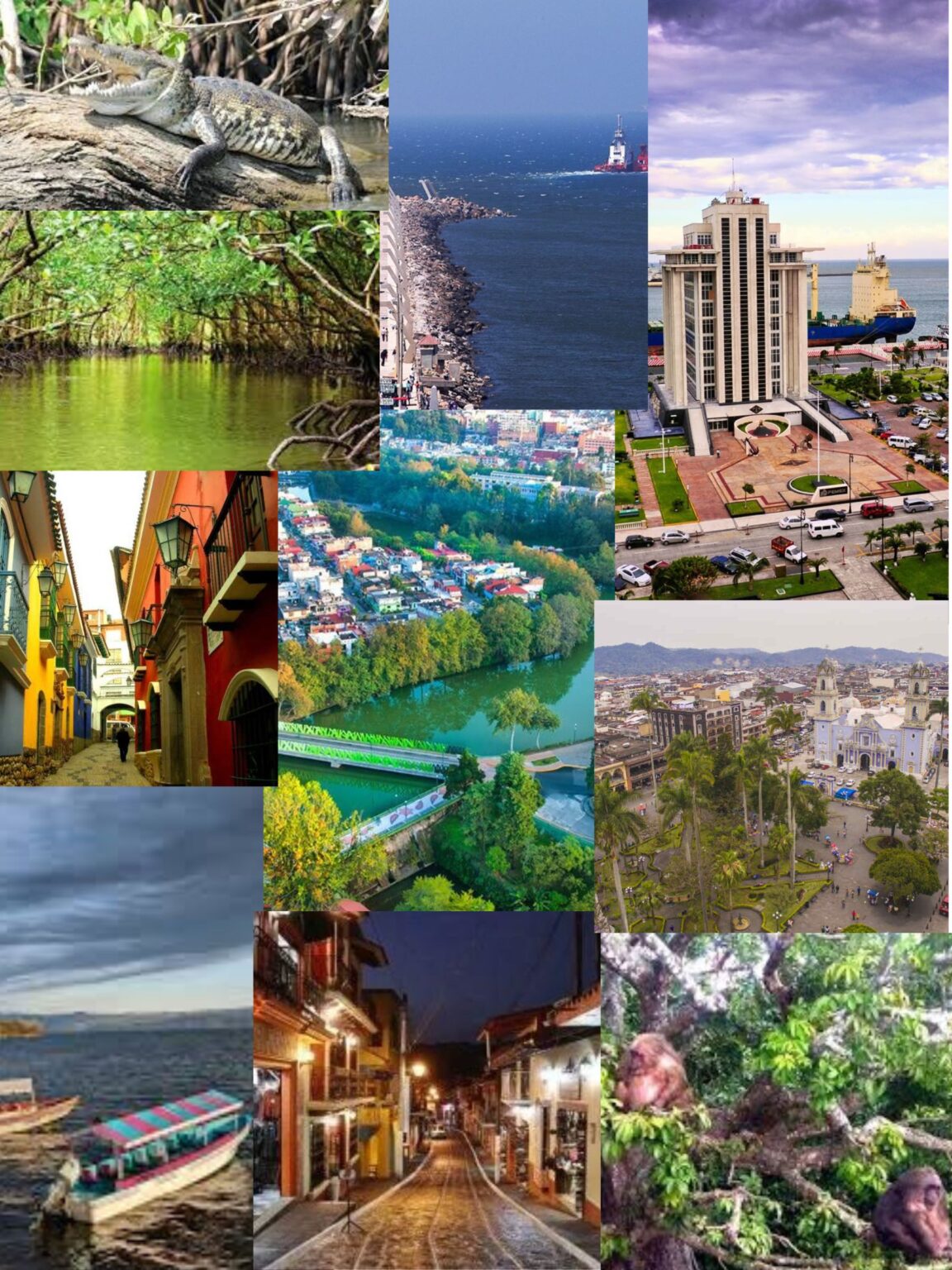 Las riquezas naturales de Veracruz son un tesoro invaluable para México