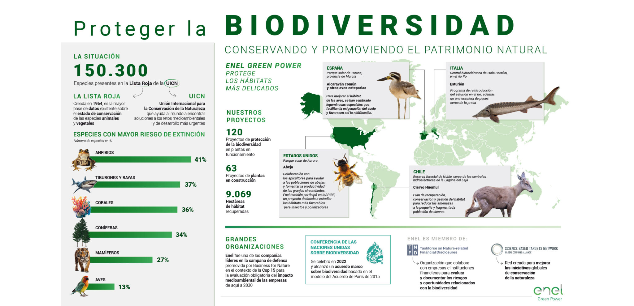 Los elementos no vivos de la naturaleza desempeñan un papel crucial en ...