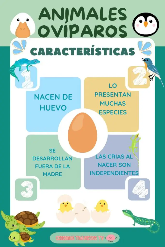 Descubre el Fascinante Mundo de los Animales Ovíparos para Niños